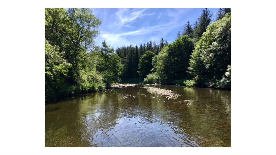 Low Barns Nature Reserve and Visitor Centre - This is Durham