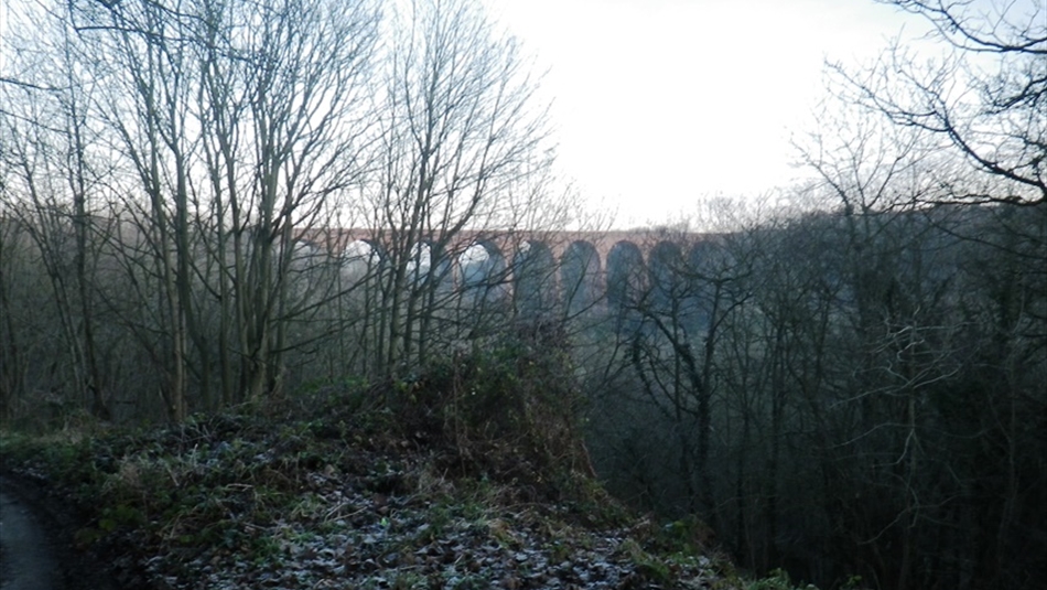 Castle Eden Dene National Nature Reserve - This is Durham