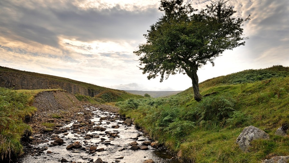 Countryside Service Durham County Council - This is Durham