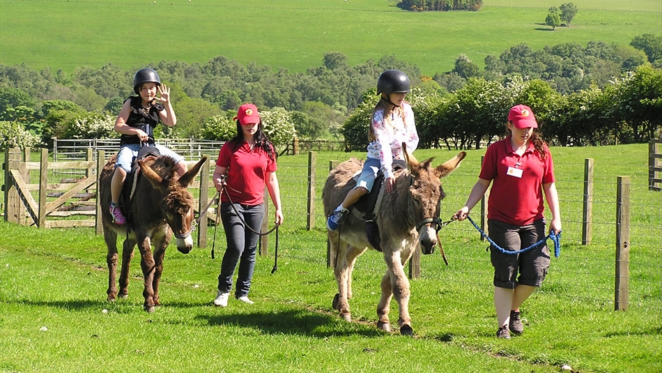 Hall Hill Farm - This is Durham