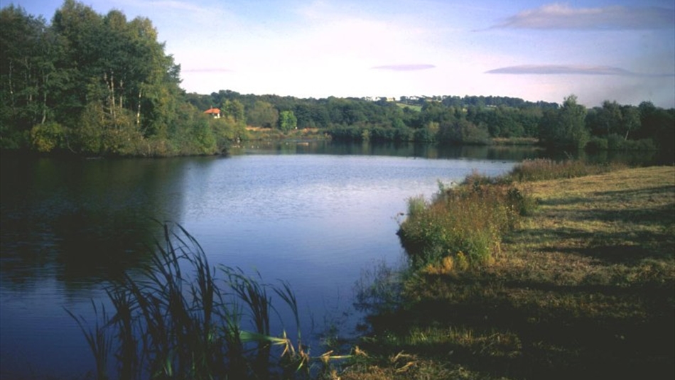 Low Barns Nature Reserve and Visitor Centre - This is Durham