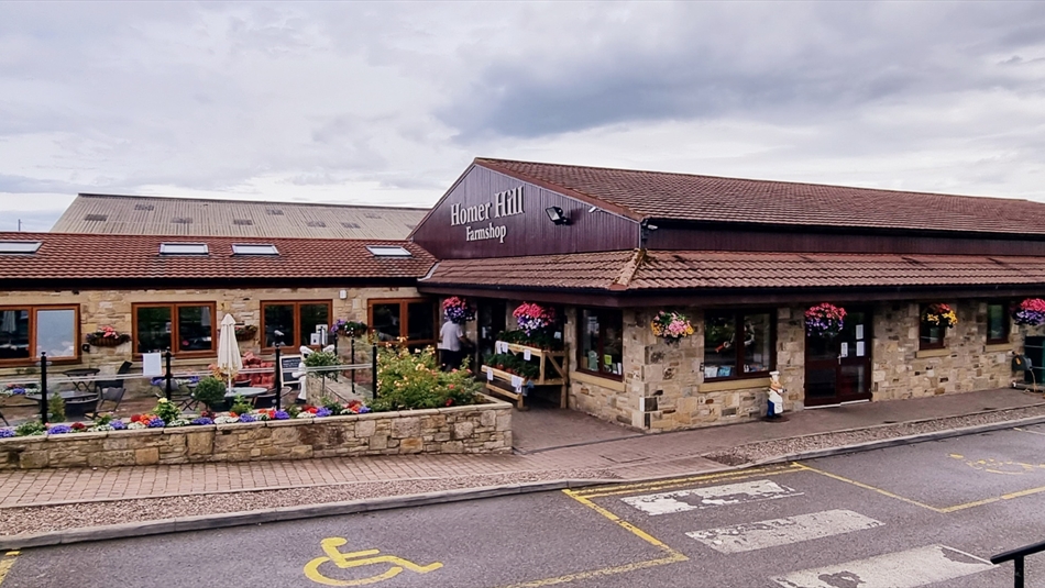 Haswell's Homer Hill Farm & Coffee Shop - Houghton Le Spring - This is ...