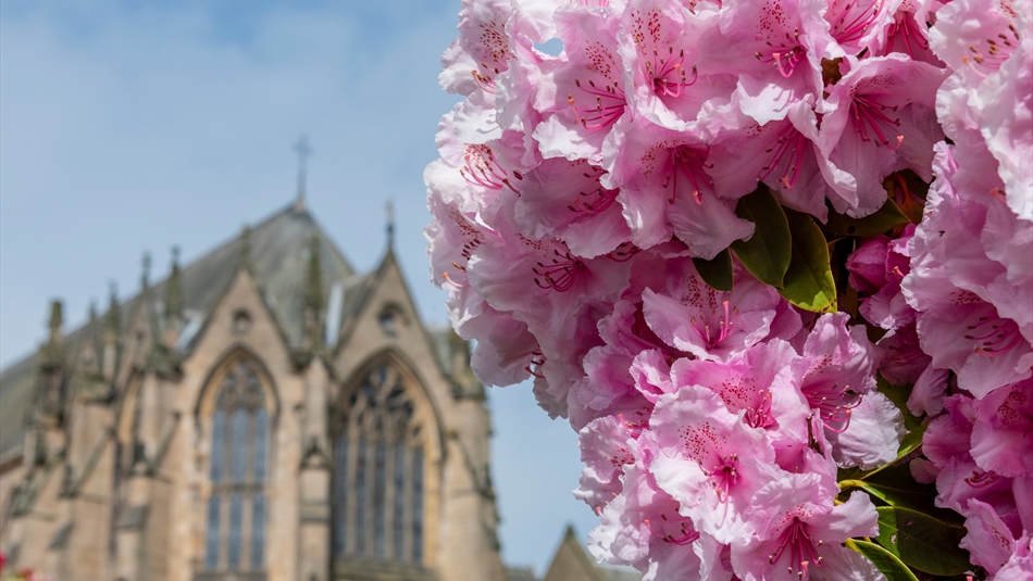 Ushaw Historic House, Chapels and Gardens - This is Durham
