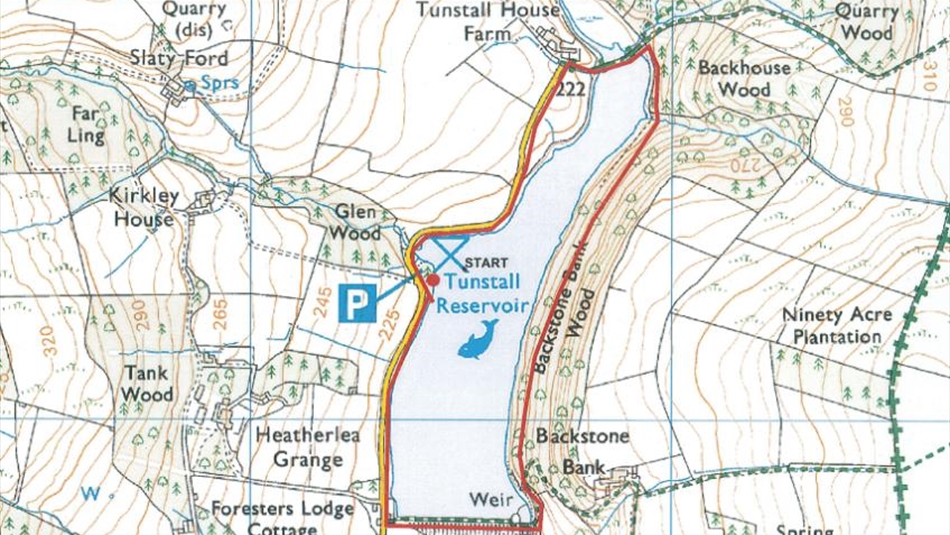 Tunstall Circular Walk - This is Durham