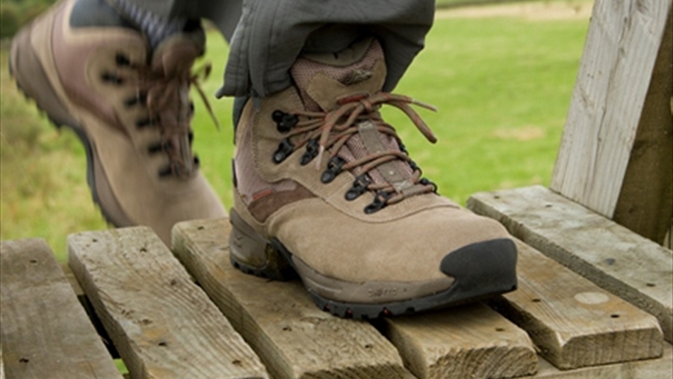 Shincliffe Walks - Walk 1: Old World Charm, Woods and a Racecourse ...