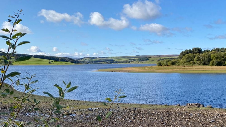 Derwent Waterside Park Fishery - This is Durham