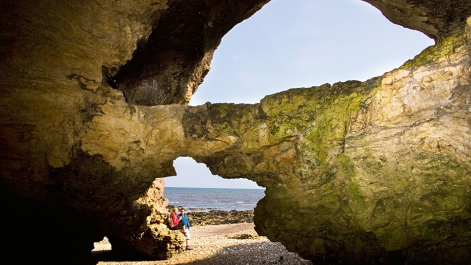 Nose's Point Local Nature Reserve Walk - This is Durham