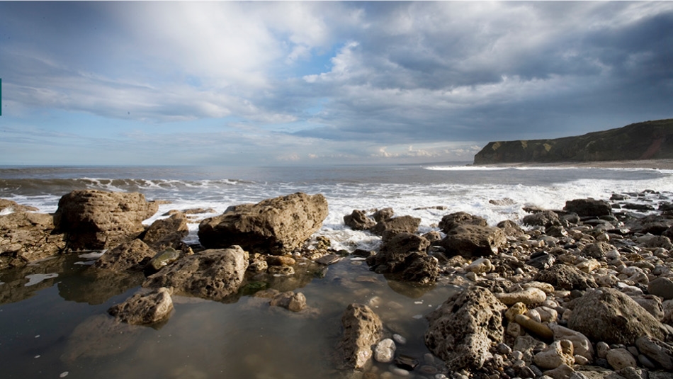 Easington Colliery Nature Reserve - This is Durham
