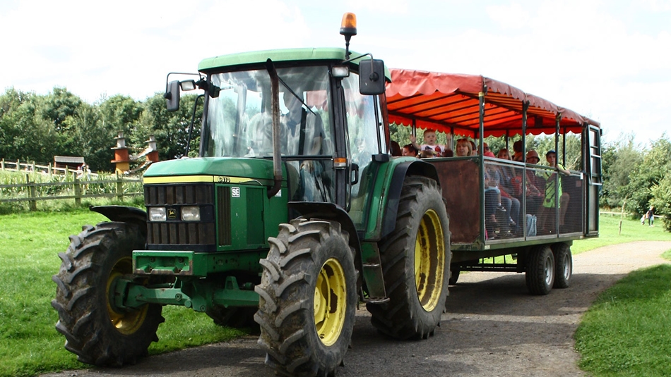 Down at the Farm - This is Durham