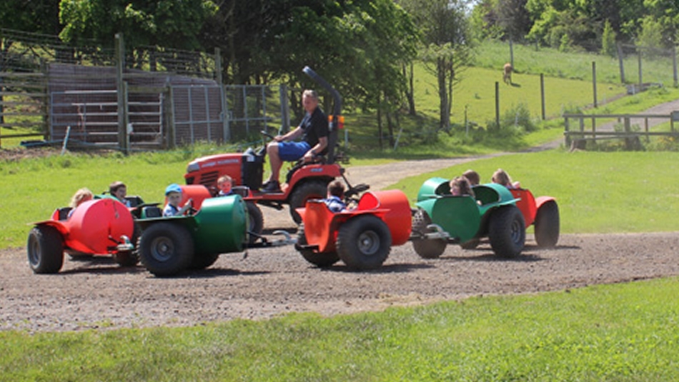 Down at the Farm - This is Durham