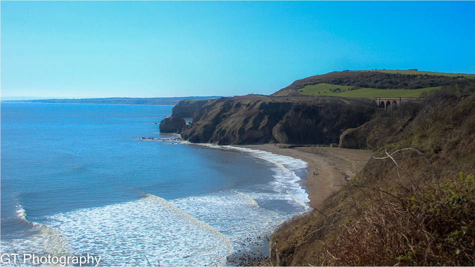Hawthorn Dene Nature Reserve - This is Durham