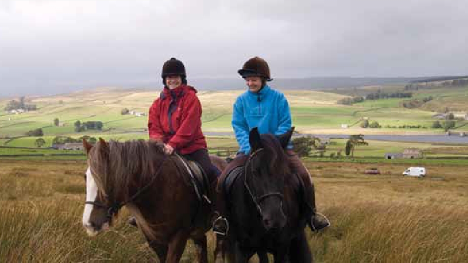 Horse Riding: Baldersdale Packhorse Trail - Horse - This is Durham