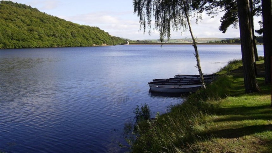Tunstall Circular Walk - This is Durham