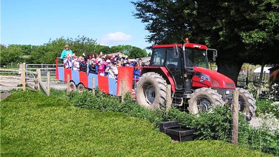Hall Hill Farm - This is Durham
