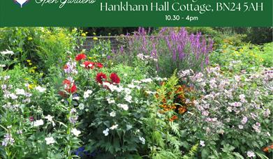 Visit Eastbourne | Official Tourism Website