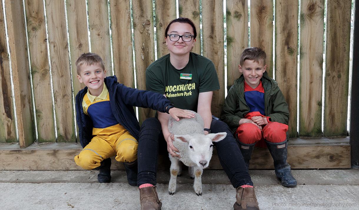 Knockhatch Adventure Park - Visit Eastbourne