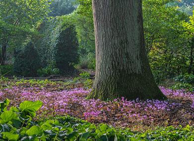 Bates Green Garden - Visit Eastbourne