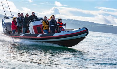 Wildlife and Wild Places on the English Riviera - English Riviera