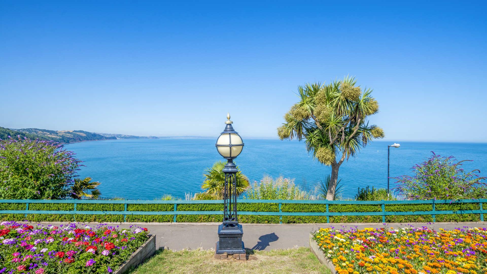 Torbay in Full Bloom: All Towns Win Top Honours at the South West in ...