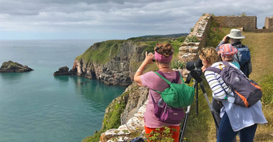 English Riviera Walking Festival 2025 | Stunning Coastal Trails