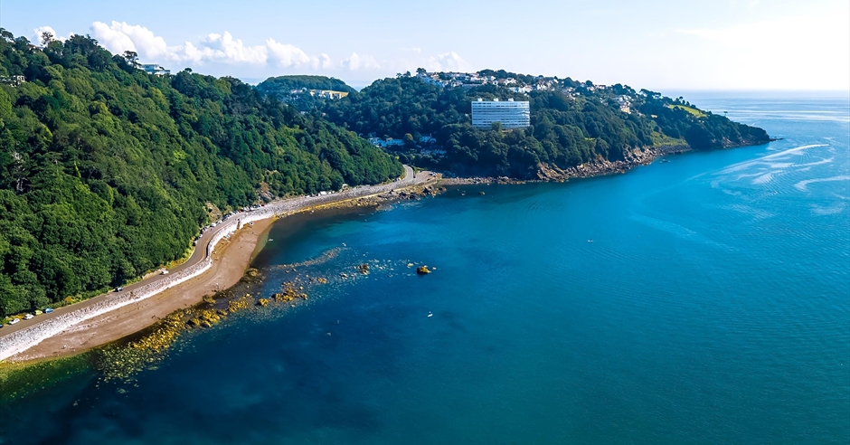 Six of The English Riviera’s beaches to fly Blue Flags with pride this ...