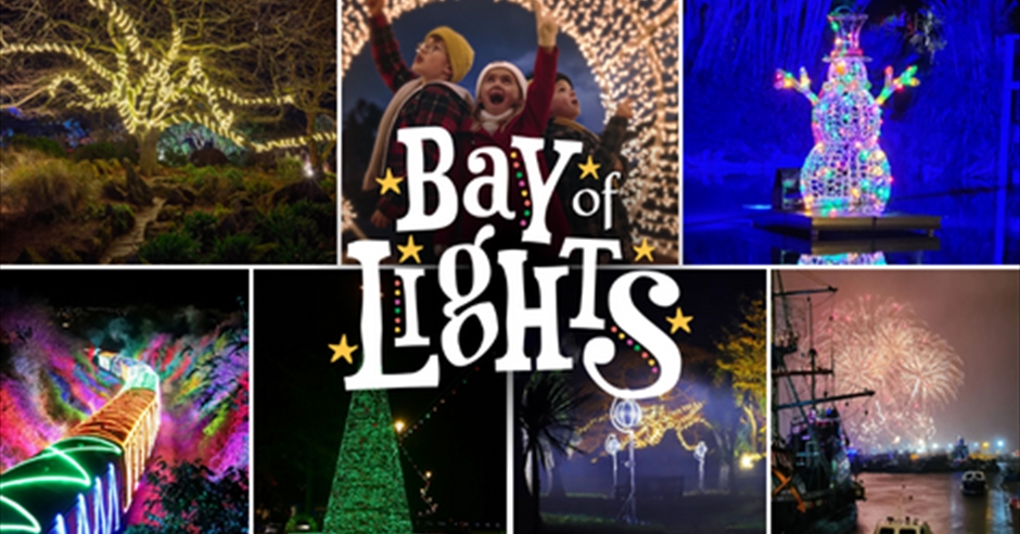 Bay of Lights | Torquay, Paignton & Brixham Christmas