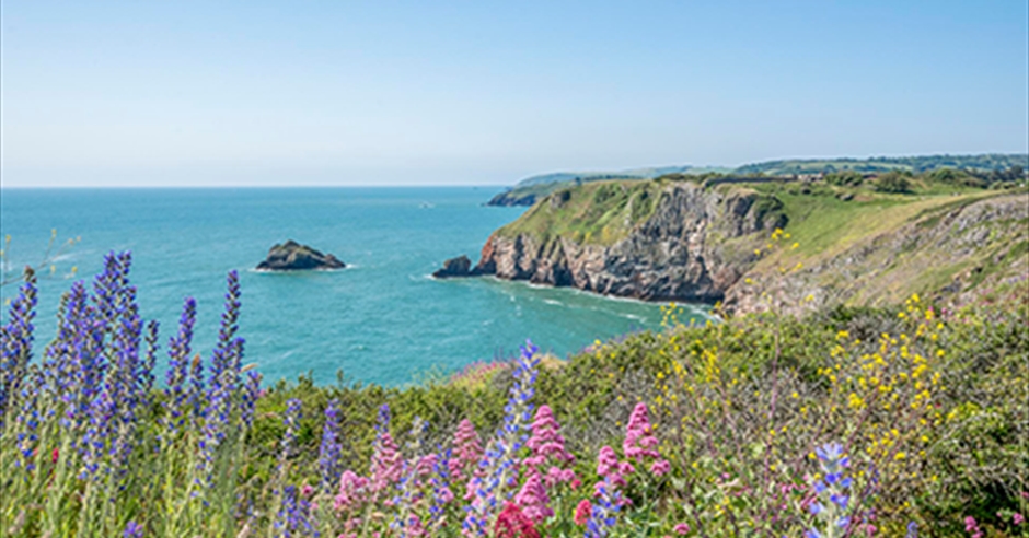 Explore Berry Head, Brixham - Visit English Riviera