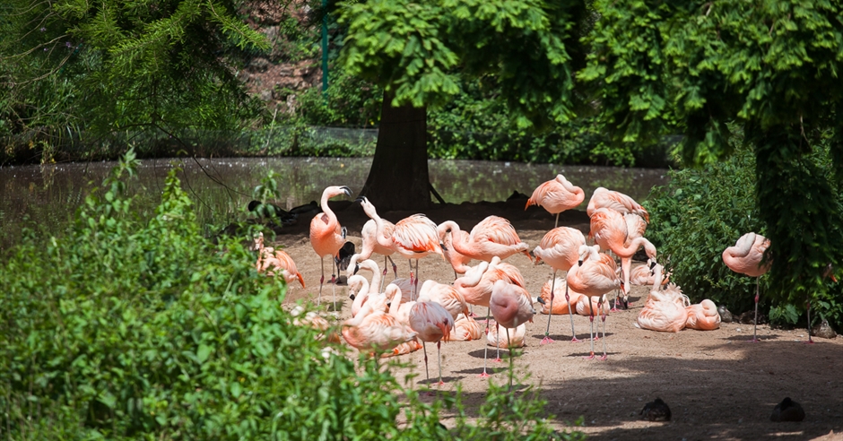 Paignton Zoo - Zoo in Paignton, Paignton - English Riviera