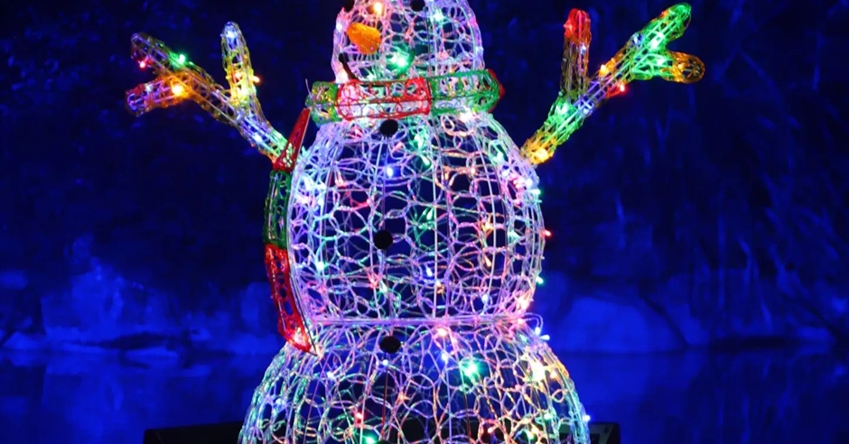 Bay of Lights - The Illumination Trail, Torquay - Christmas in TORQUAY ...
