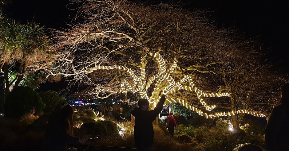 Bay of Lights - Christmas in Torquay - English Riviera