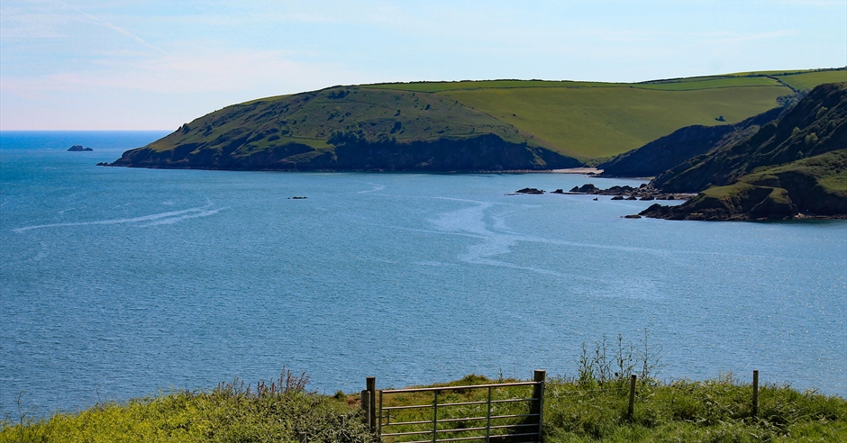 Sharkham - Viewpoint in BRIXHAM, Brixham - English Riviera