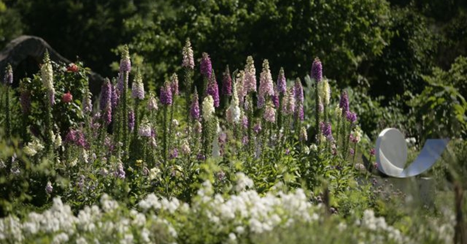 Potent Plants Garden - Torre Abbey - Garden in Torquay, Torquay ...