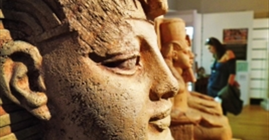 Torquay Museum - Museum in Torquay, Torquay - English Riviera