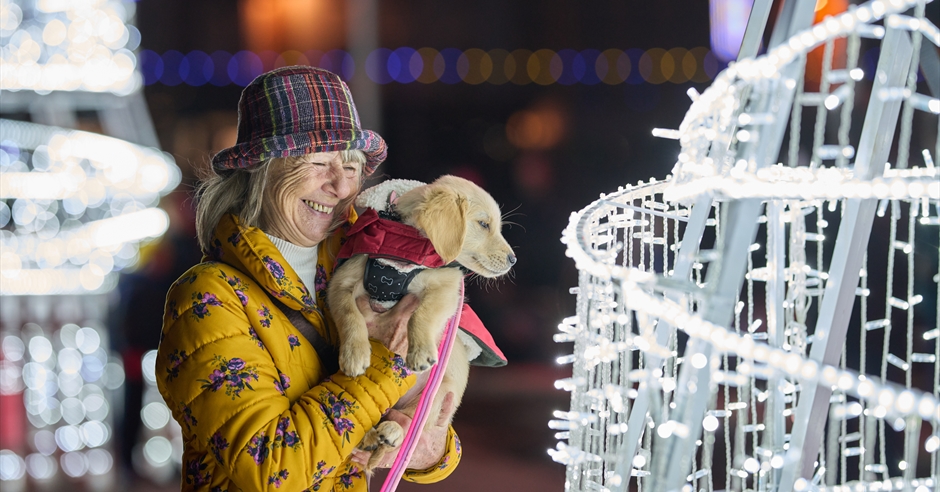 Bay of Lights - The Illumination Trail, Torquay - Christmas in TORQUAY ...