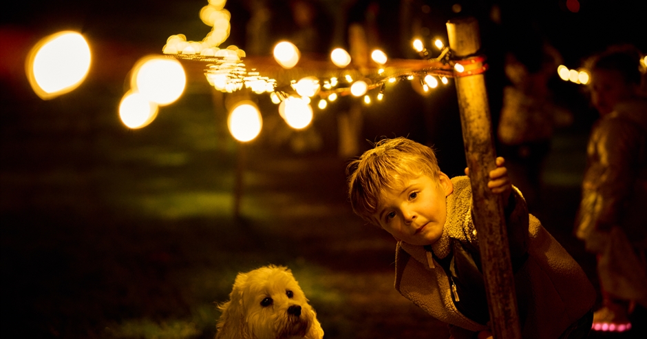 Bay of Lights - The Illumination Trail, Torquay - Christmas in TORQUAY ...