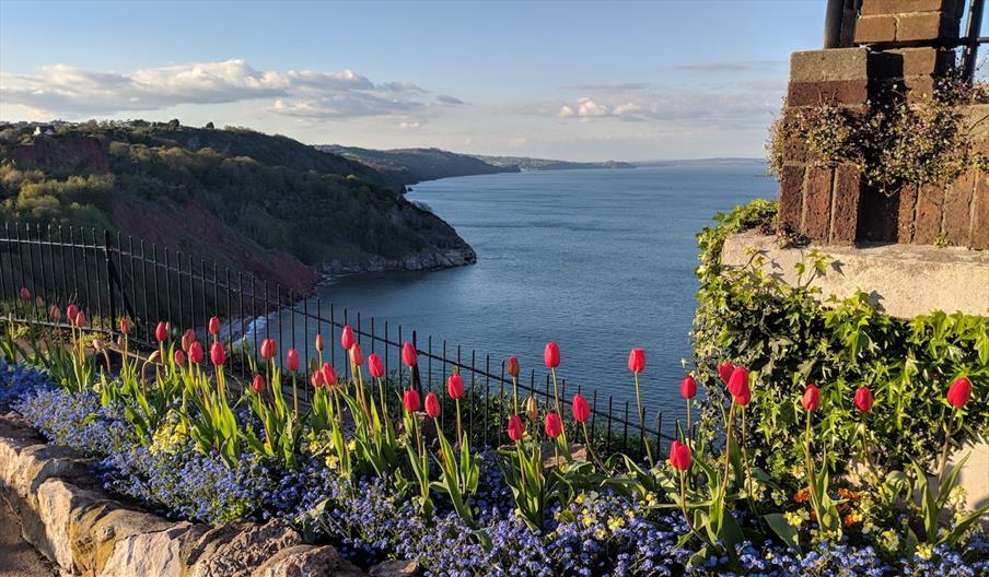 Babbacombe Downs - English Riviera