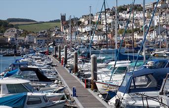 English Riviera Attractions | Things to Do in South Devon