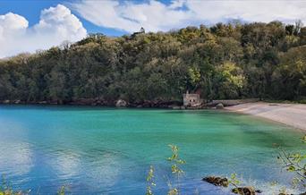 English Riviera Attractions | Things to Do in South Devon