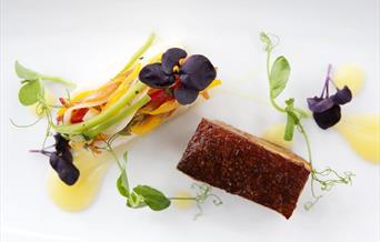 English Riviera Hotels - Torquay, Paignton and Brixham Hotel Accommodation