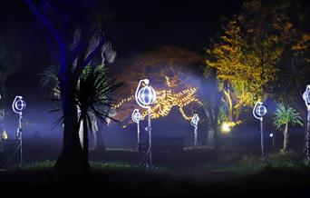 Bay of Lights | Torquay, Paignton & Brixham Christmas