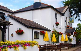 Restaurants in Brixham | Places to Eat on the English Riviera