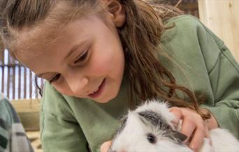 UNESCO Global Geopark - Torquay, Paignton & Brixham - English Riviera