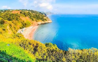 English Riviera Attractions | Things to Do in South Devon