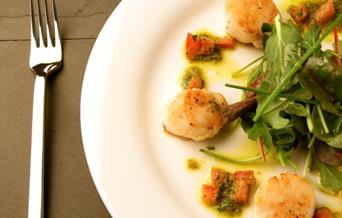 Vegan & Vegetarian - Eating Out In Torquay, Paignton & Brixham