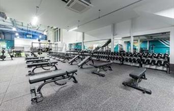 Things to Do in Torquay - Attractions and Activities - Visit English ...