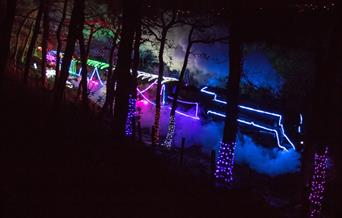 Bay of Lights | Torquay, Paignton & Brixham Christmas