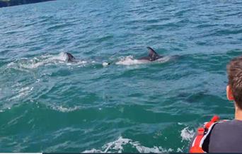 UNESCO Global Geopark - Torquay, Paignton & Brixham - English Riviera