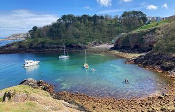 English Riviera Attractions | Things to Do in South Devon