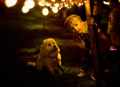 Bay of Lights - The Illumination Trail, Torquay - Christmas in TORQUAY ...