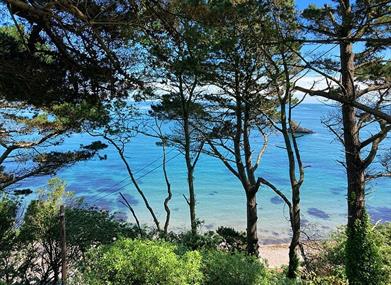 Meadfoot Beach - Beach in Torquay, Torquay - English Riviera